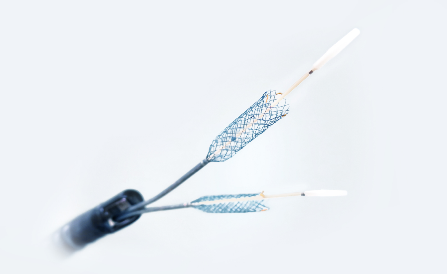 Endoscopic Stents | Duomed
