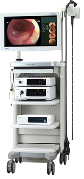 Experts speaking: Artificial Intelligence in Endoscopy | Duomed