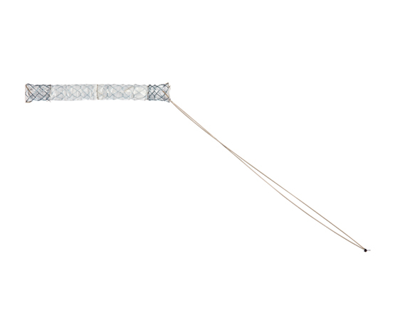 lithotripsy stent string