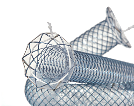 Niti-S™ GIOBOR™ Biliary Stent | Duomed