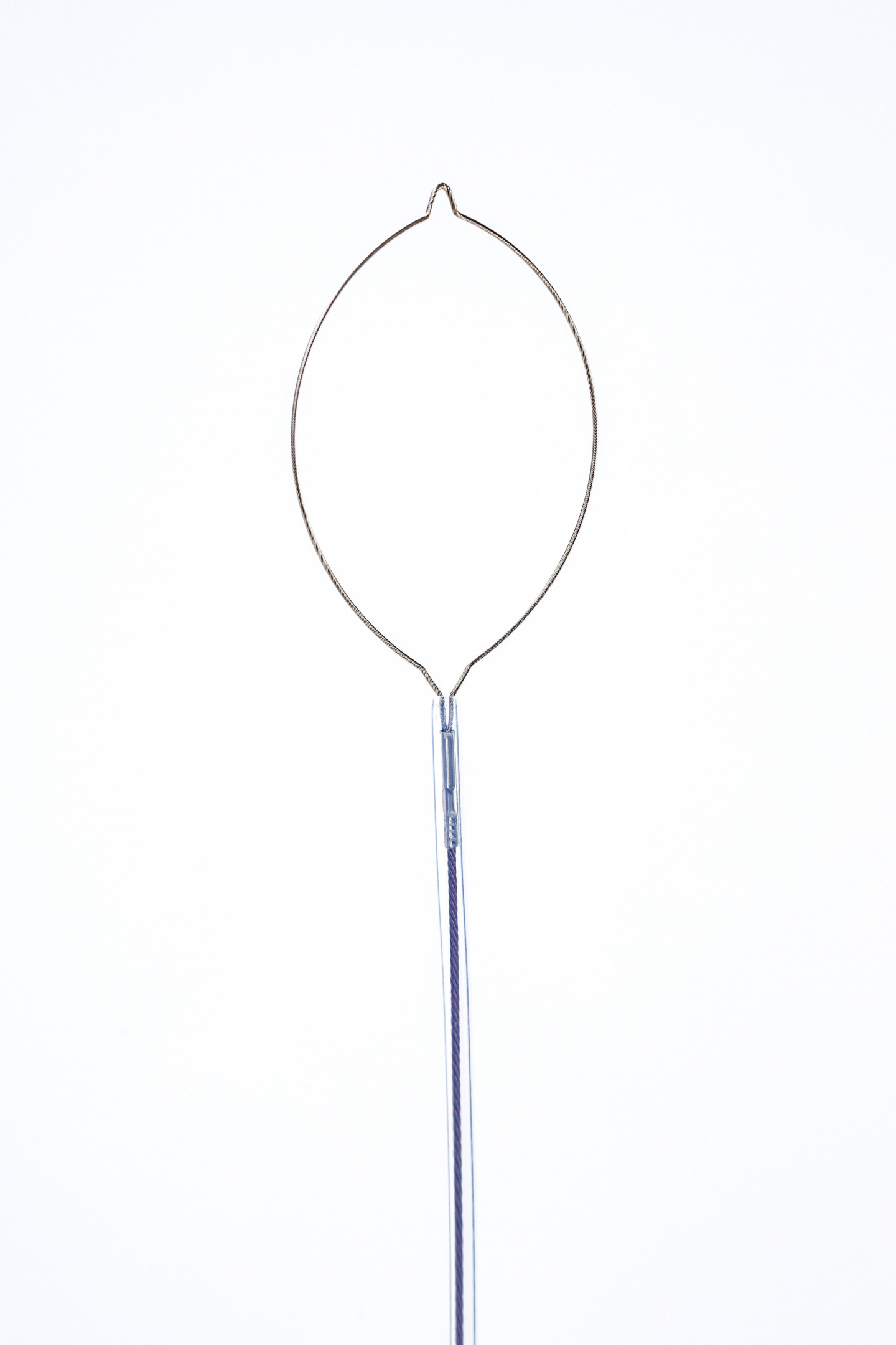 AGS Hybrid Polypectomy Snare | Duomed