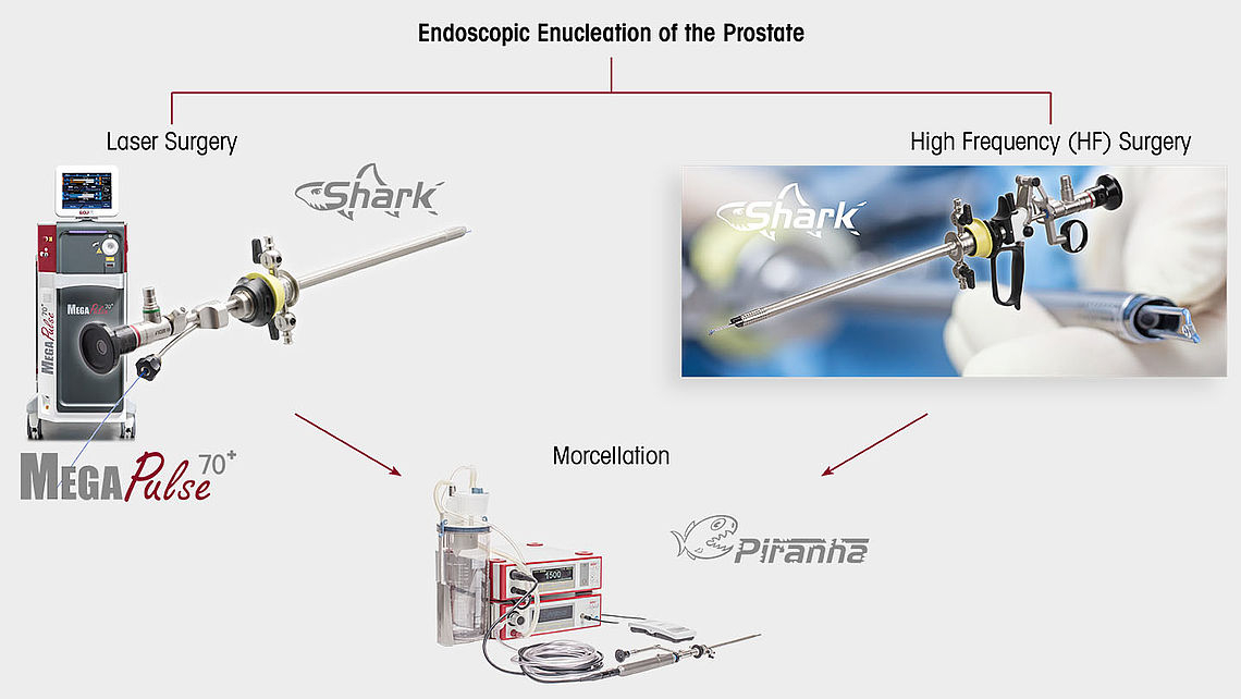 PIRANHA Prostate morcellation EEP | Duomed