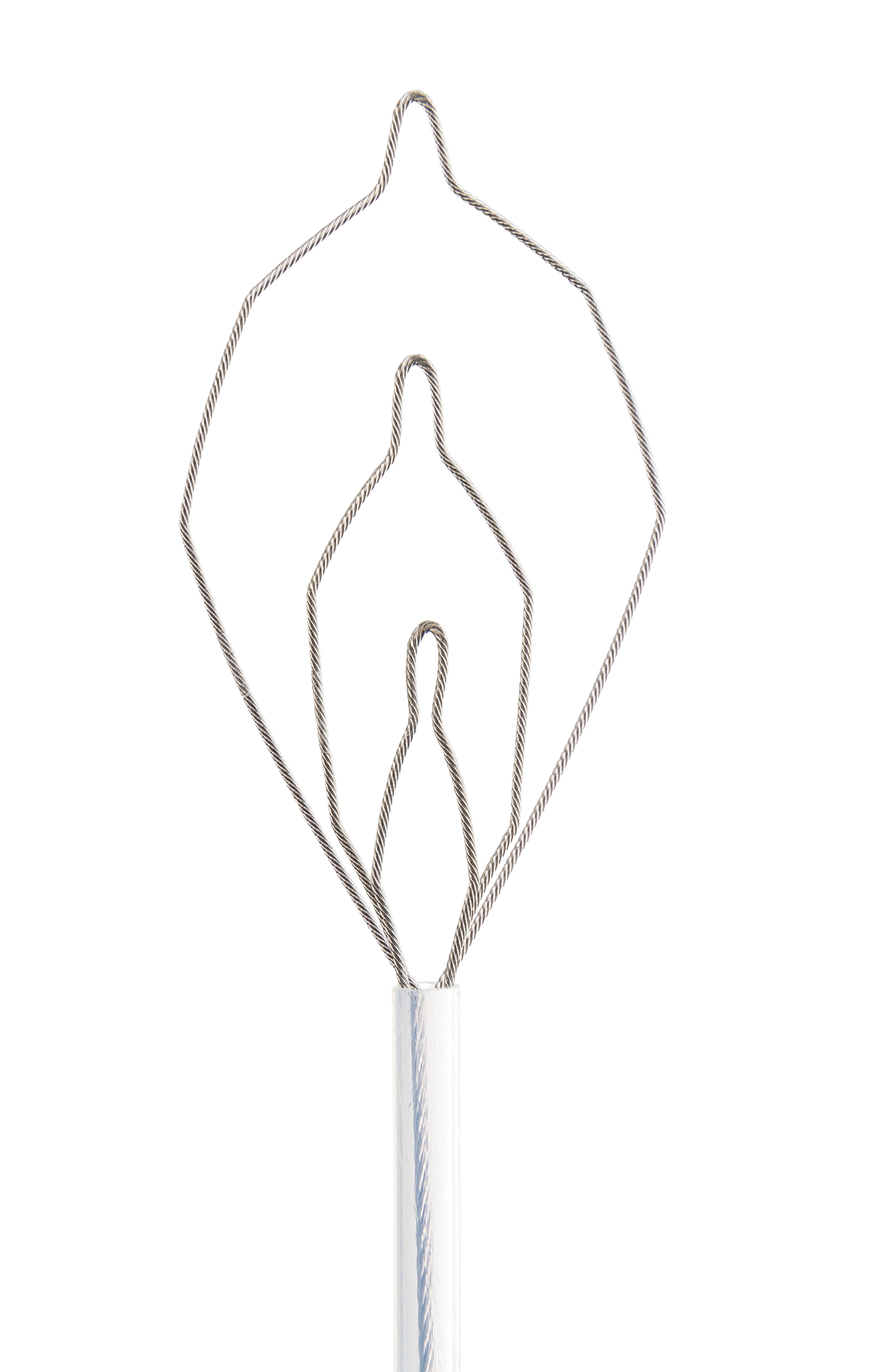 CoinTip Snare - Hot and Cold Polypectomy Snare | Duomed