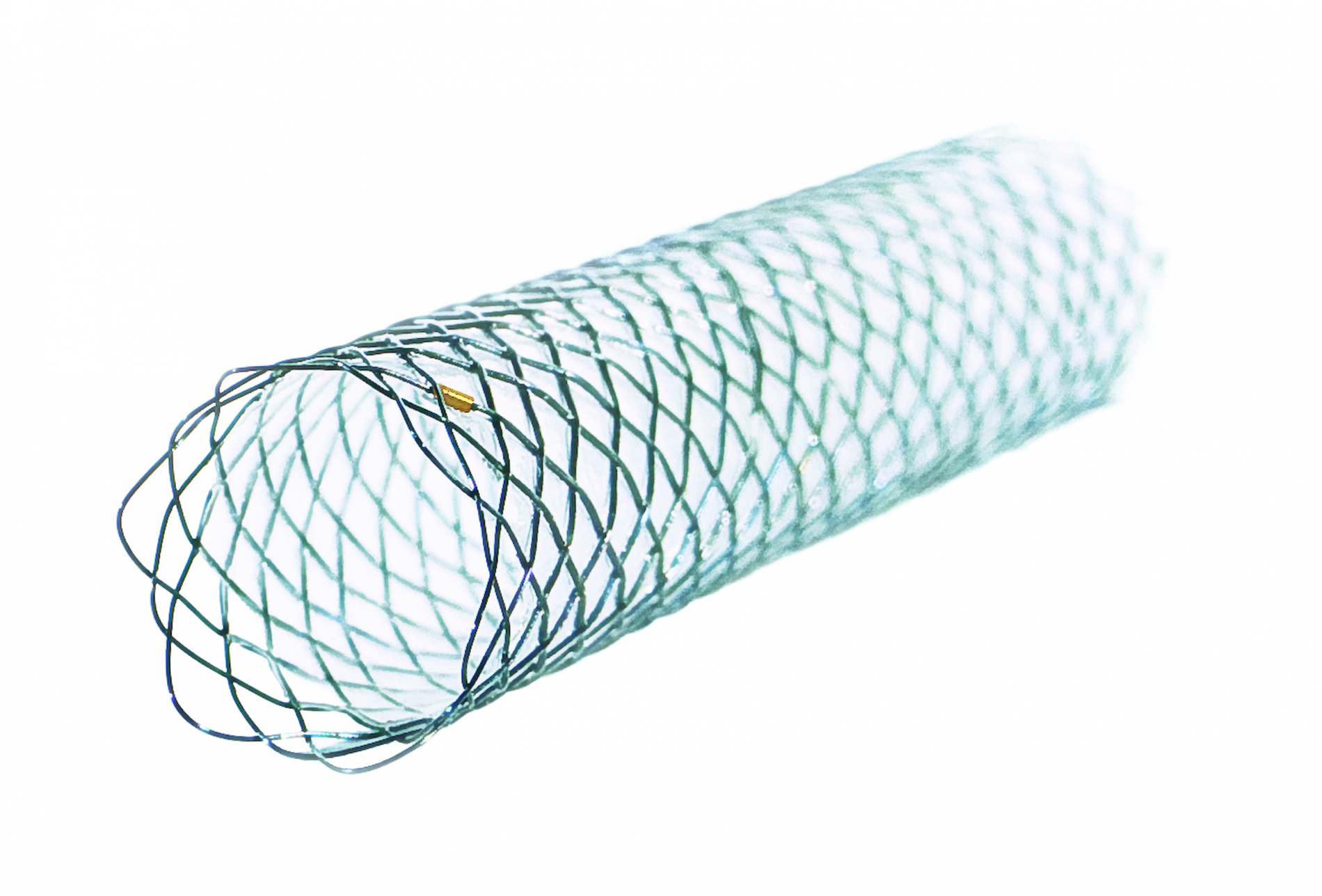 Biliary Duct Stent, perfect visibility for highest precision | Duomed