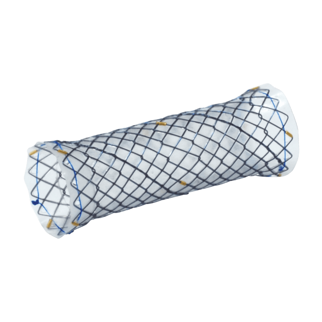Lung Stents | Duomed