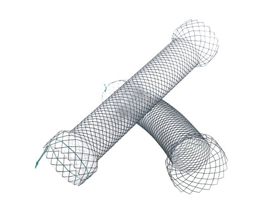 Duodenal Stent | Duomed