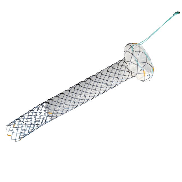 Self-Expandable Metallic Stents - Hanarostent® BPD | Duomed