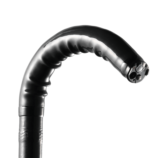 EC-760 S-A/M, S-A/L Colonoscope with Virtual Scale Function | Duomed