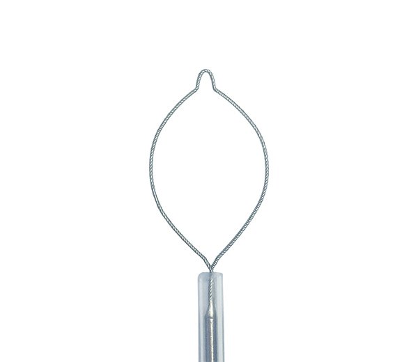 Polypectomy Snare for Hot and Cold | Duomed